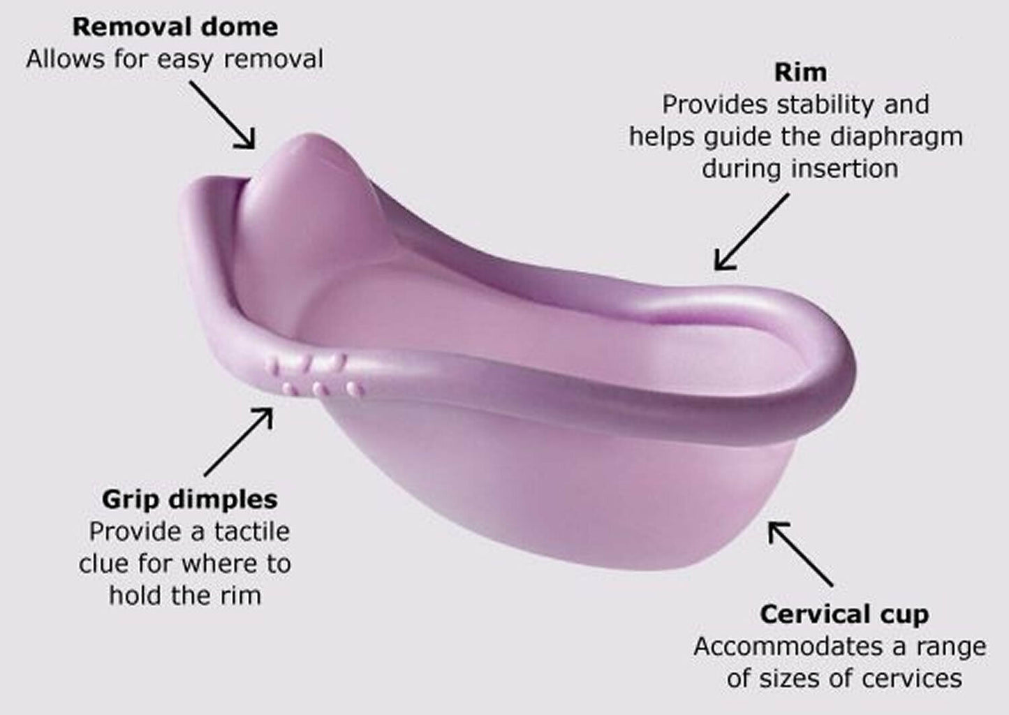Caya Contoured Diaphragm - One Size Fits Most Contraceptive Hormone Fr ...